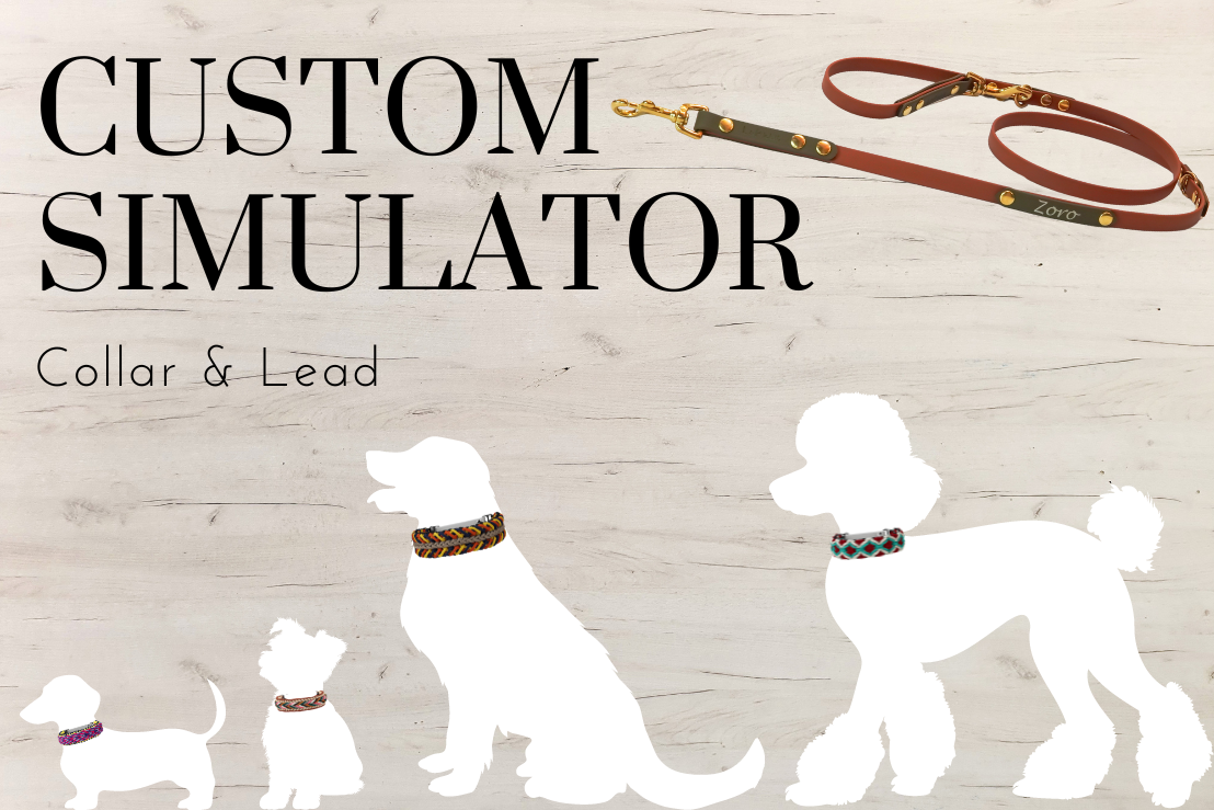 Custom Collar & Lead – L&P labo
